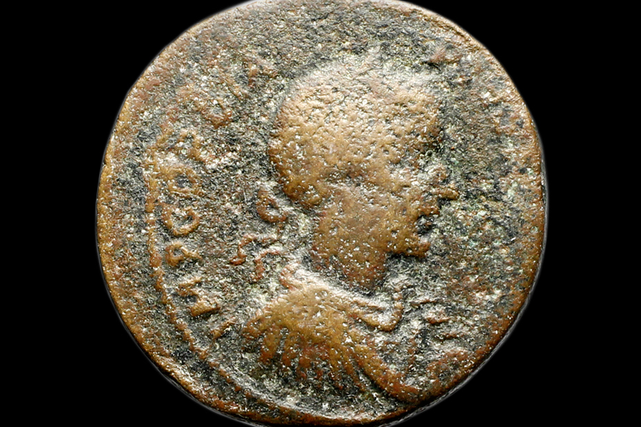 Cadmus | Serpentarium Mundi: Iconography of Snakes, Serpents, Dragons ...